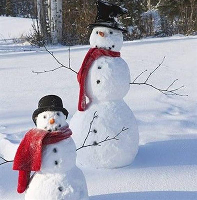 SEASONAL | Products | Frans Koppers Imports